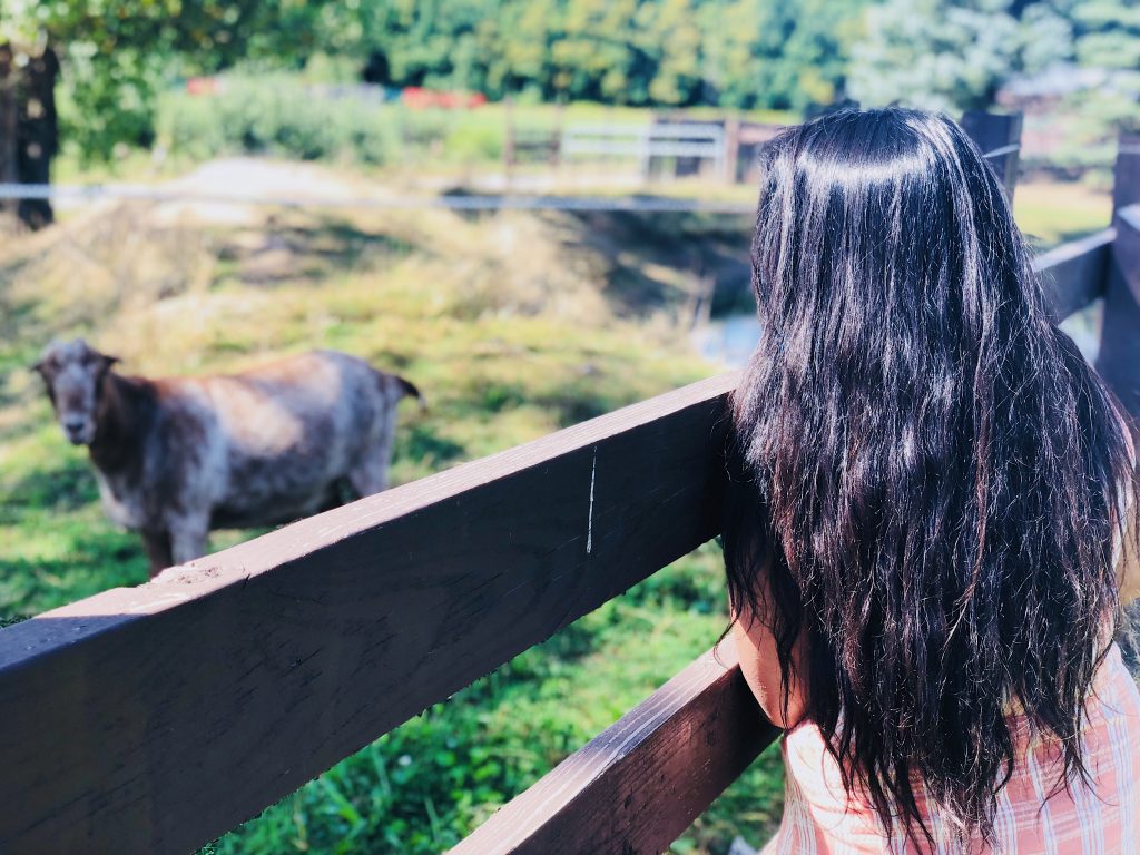 APPLE PICKING IN BECKER FARMS | Totally MOM-Sense