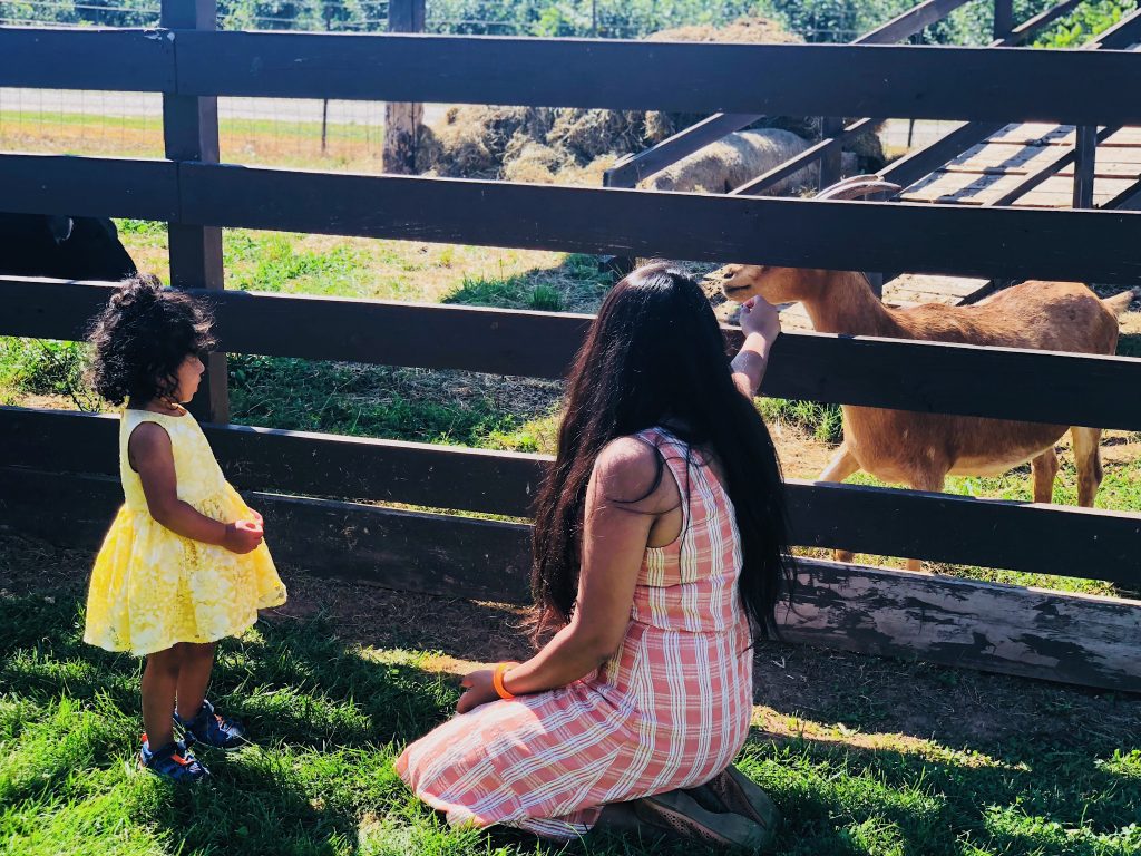 APPLE PICKING IN BECKER FARMS | Totally MOM-Sense