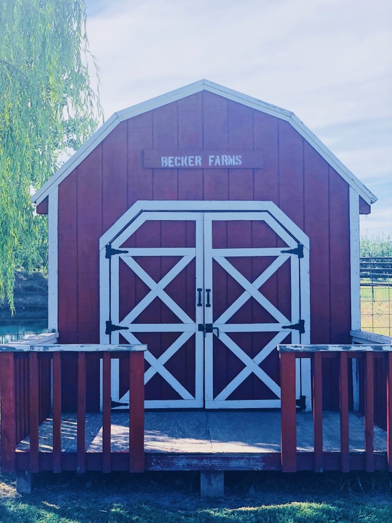 APPLE PICKING IN BECKER FARMS | Totally MOM-Sense