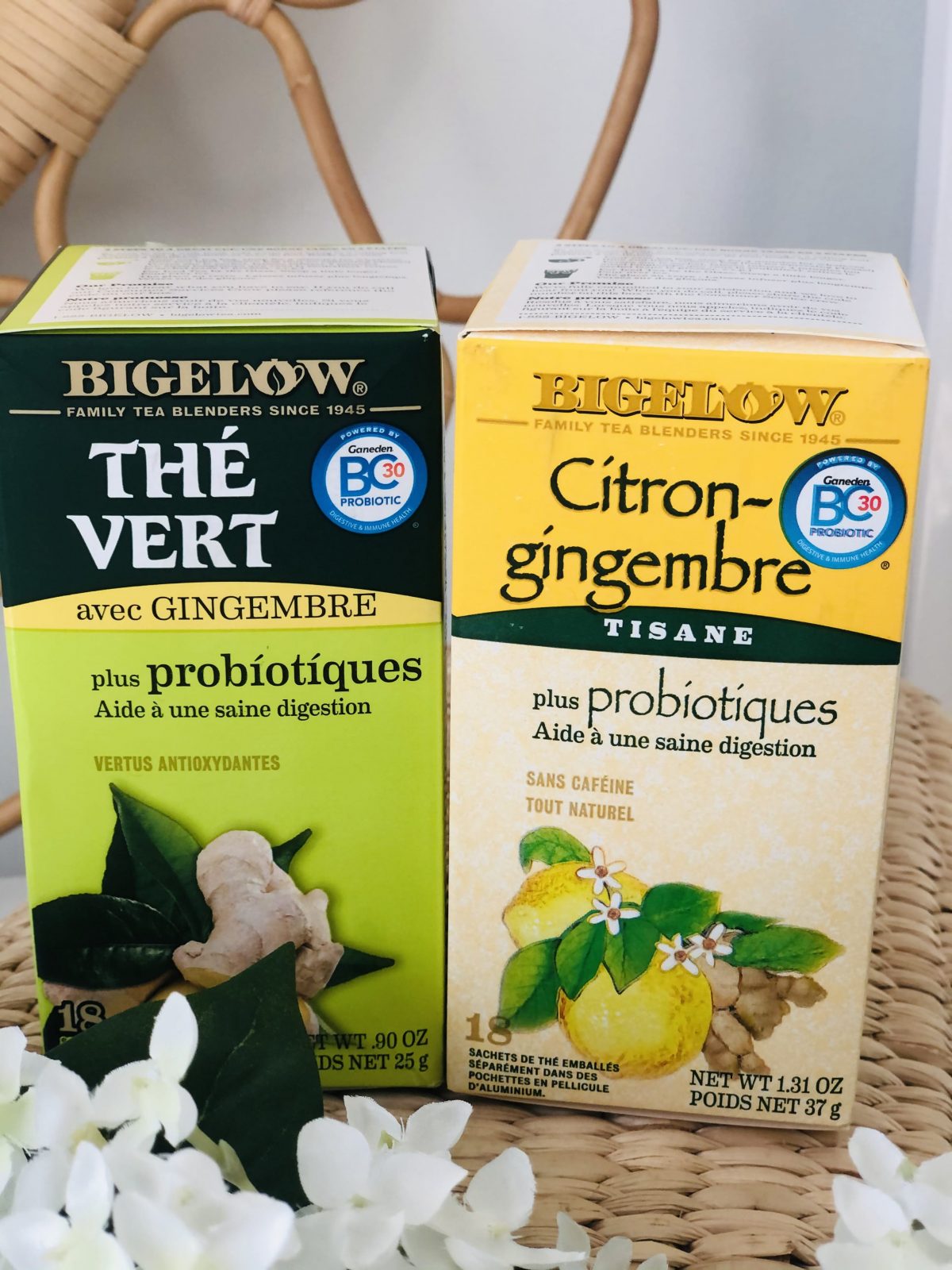 MAKE A HEALTHY CHOICE TODAY WITH ﻿GanedenBC30® PROBIOTICS | Totally MOM ...